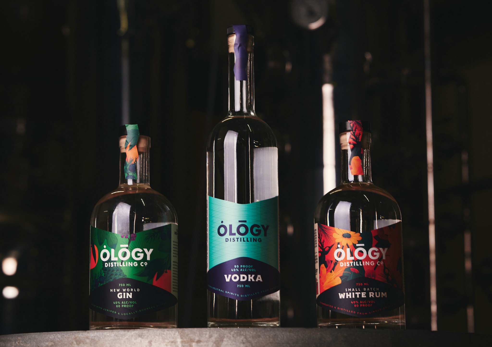 Ology Brewing is Expanding Its Product Line - Tallahassee Magazine
