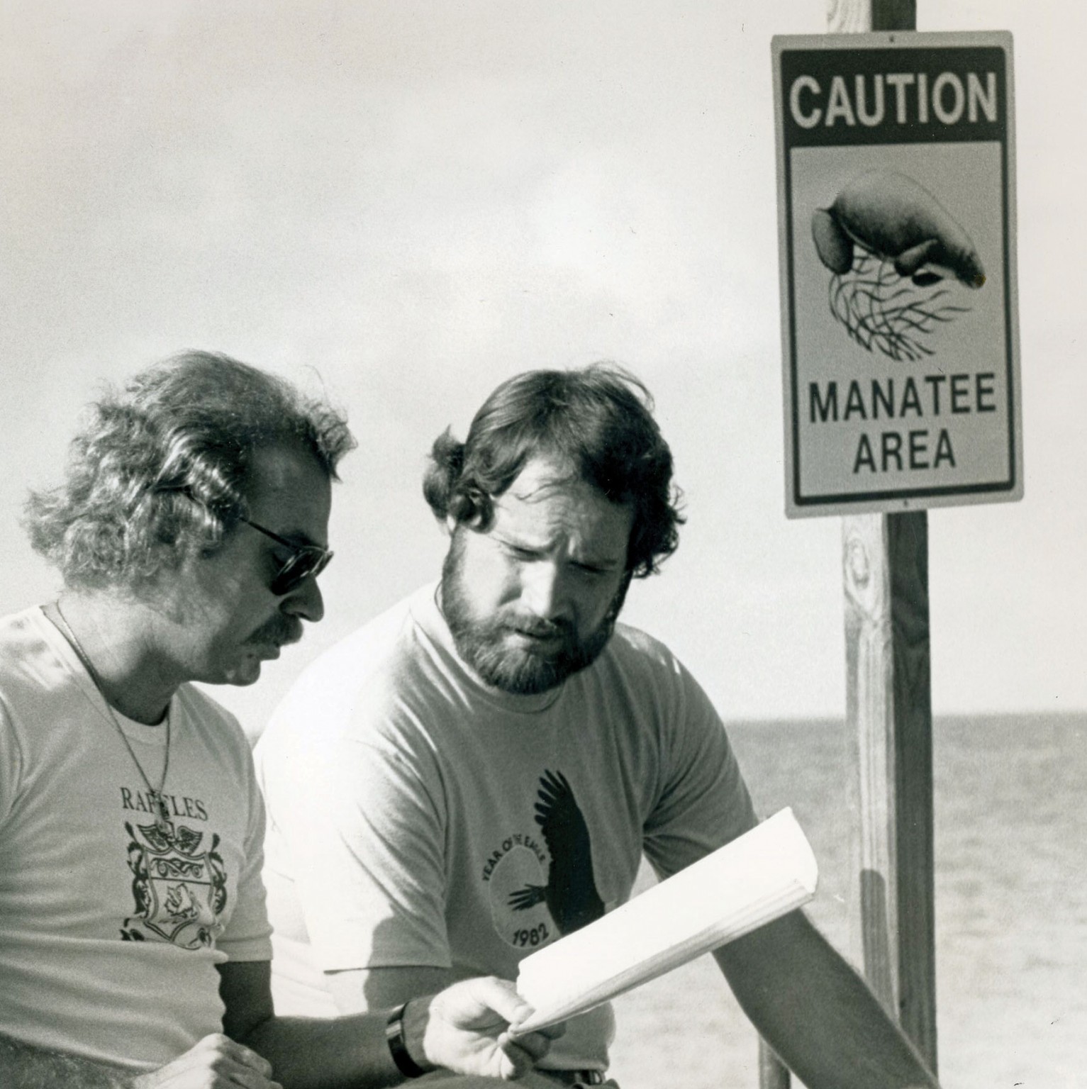 As the Manatee Goes, So Do Aquatic Ecosystems - Tallahassee Magazine