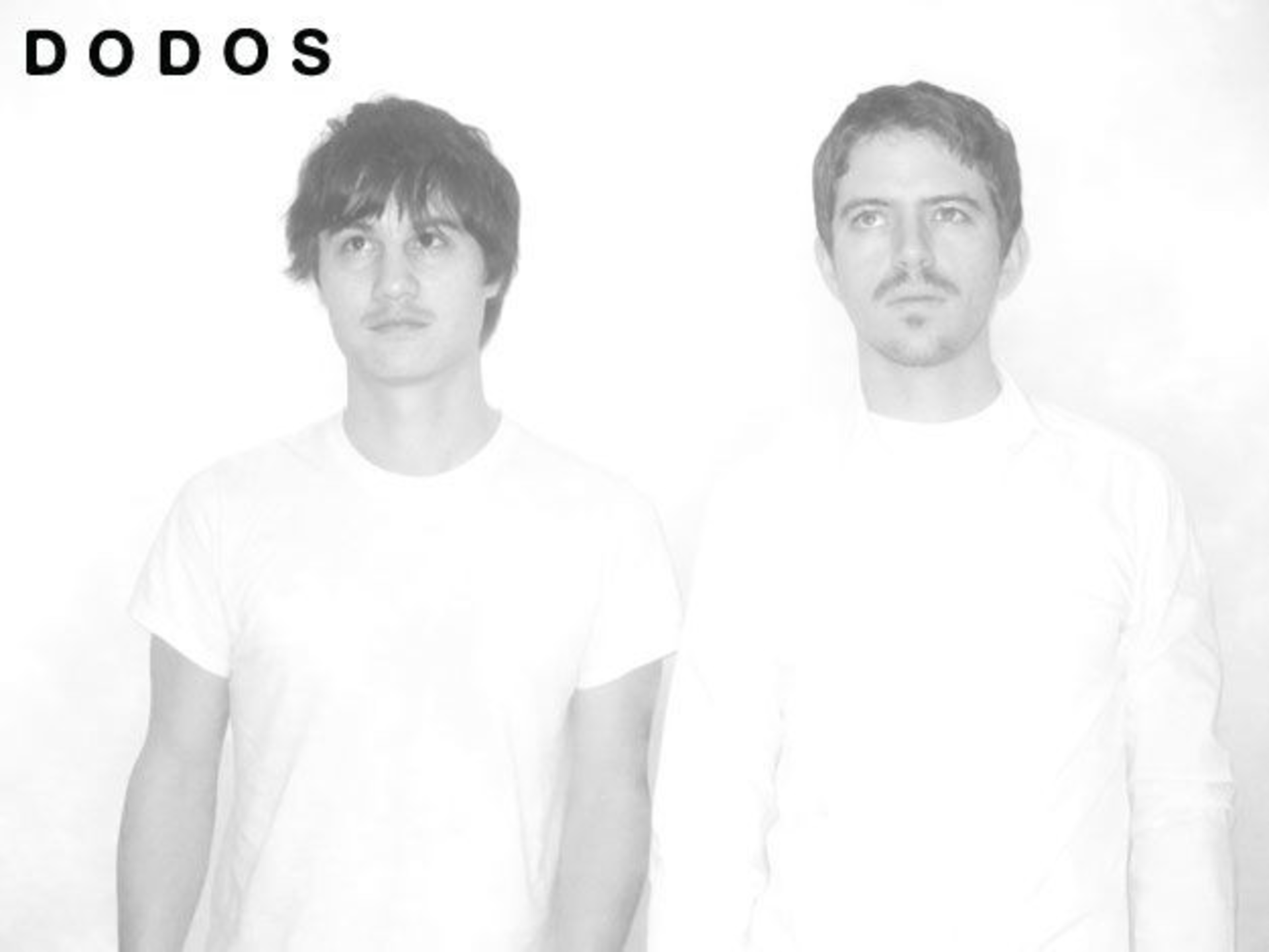 Dodos are coming back to town again in September