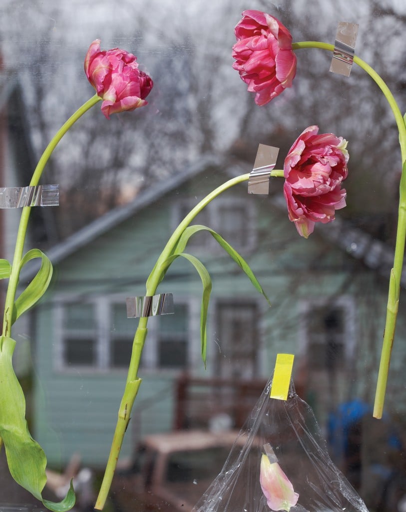 Creativity hasn't shut down for these 17 visual artists