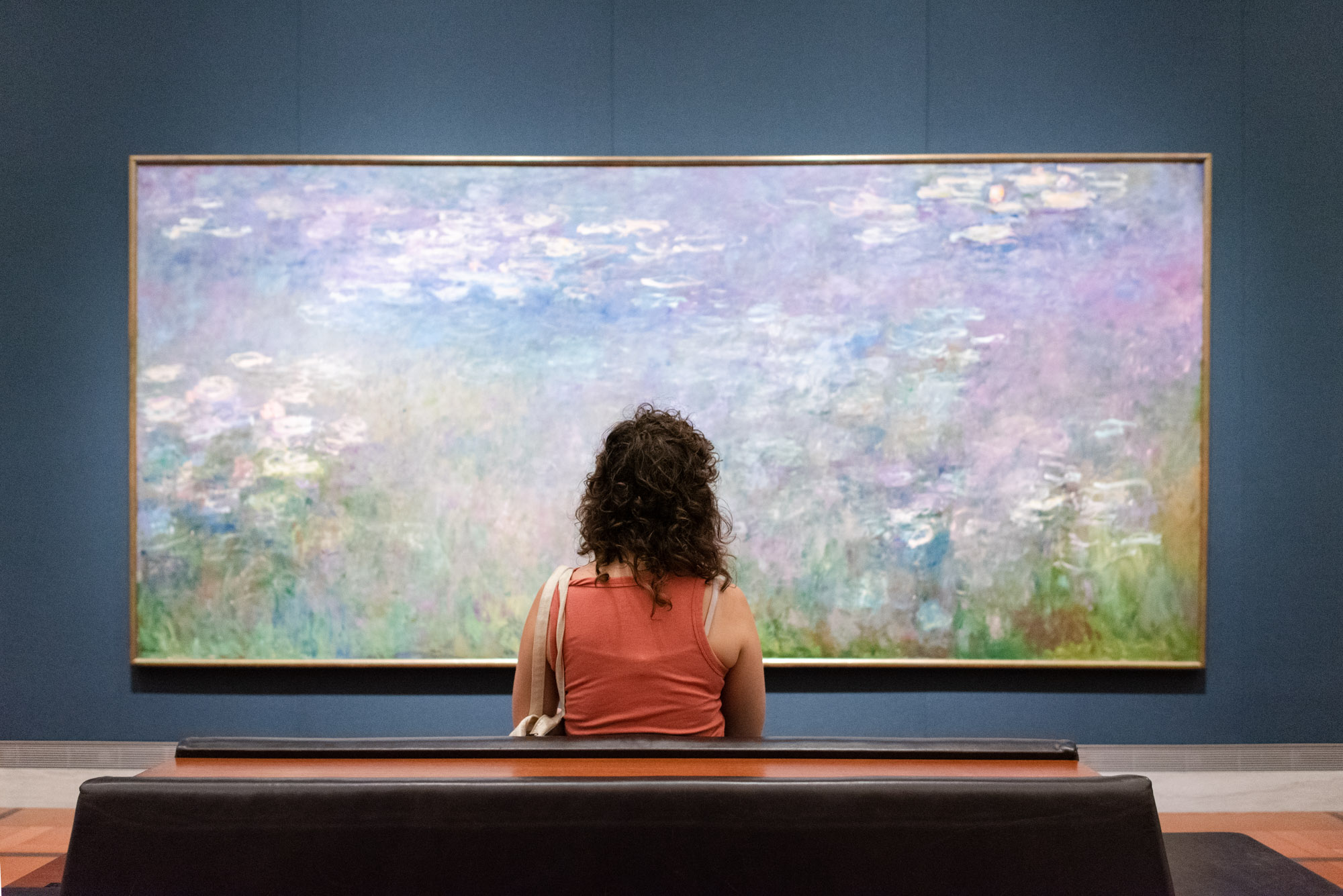 Exploring the Nelson-Atkins after six months in small spaces