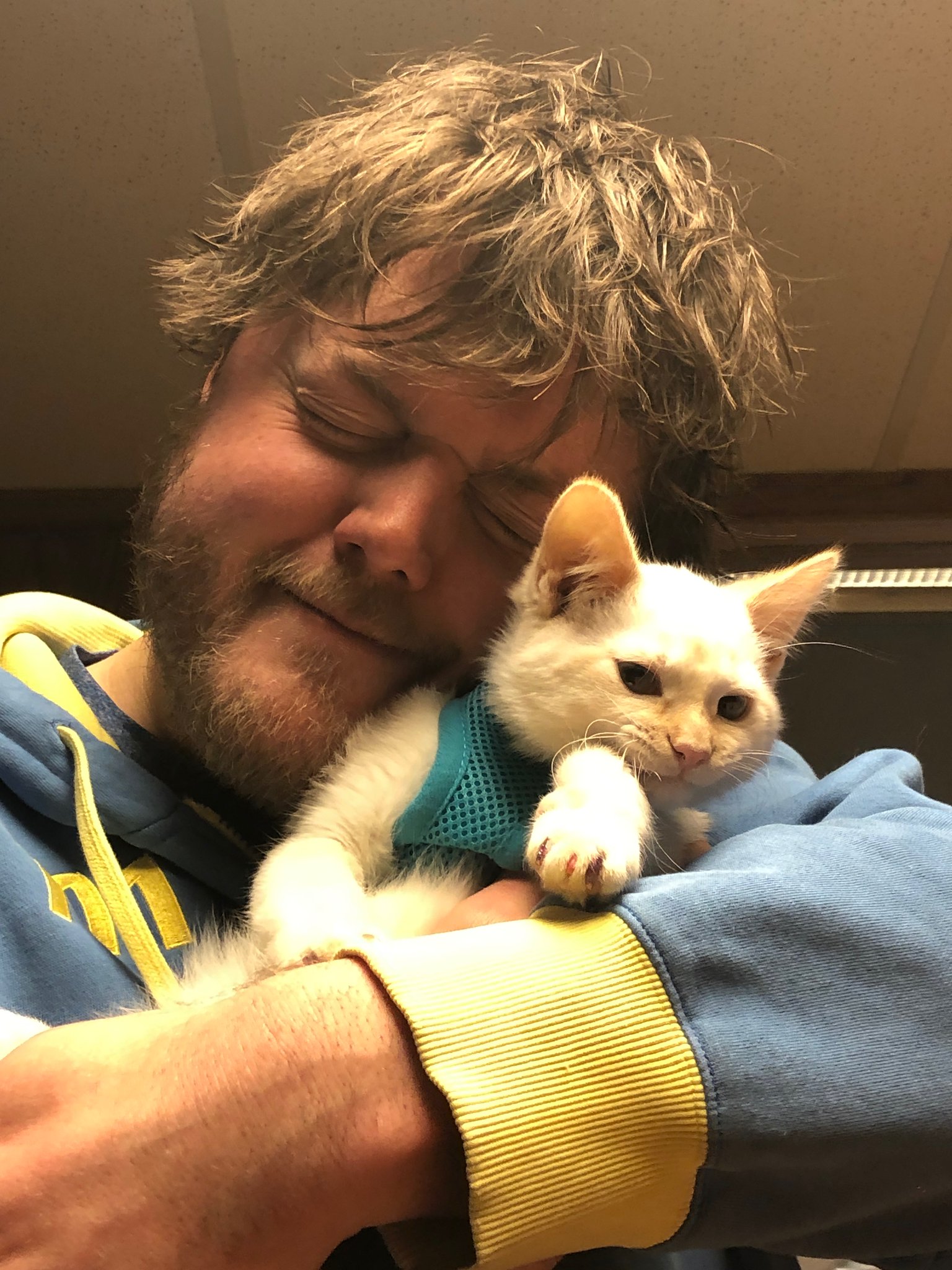 A personal ode to Benji the Cat for National Pet Day