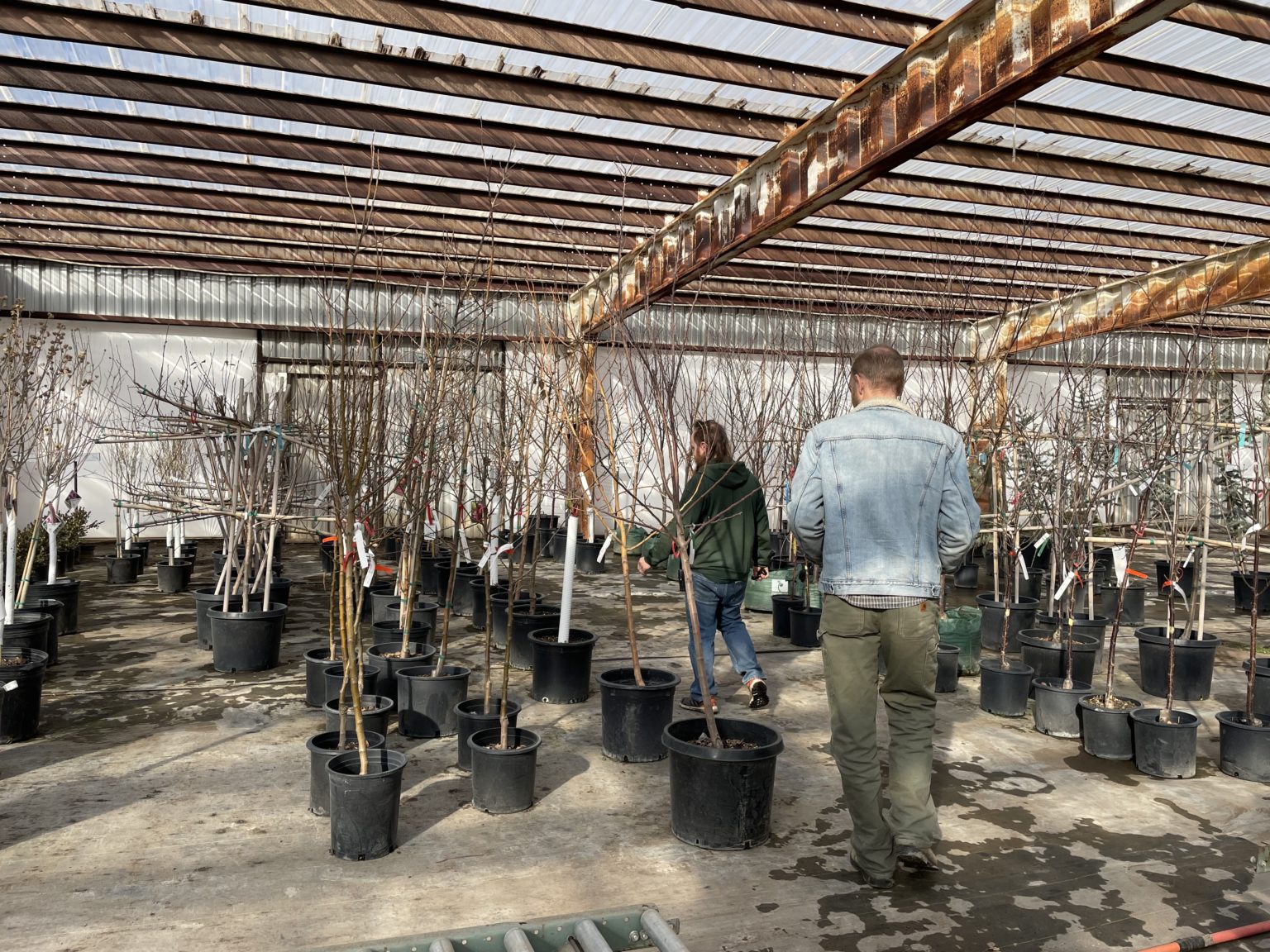 Giving Grove urban farming organization expands from KC to Denver