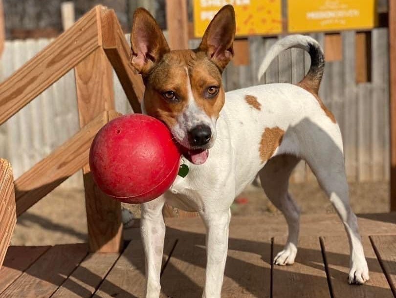 Creature Feature: It's time for Miss Kitty and Franny to go home