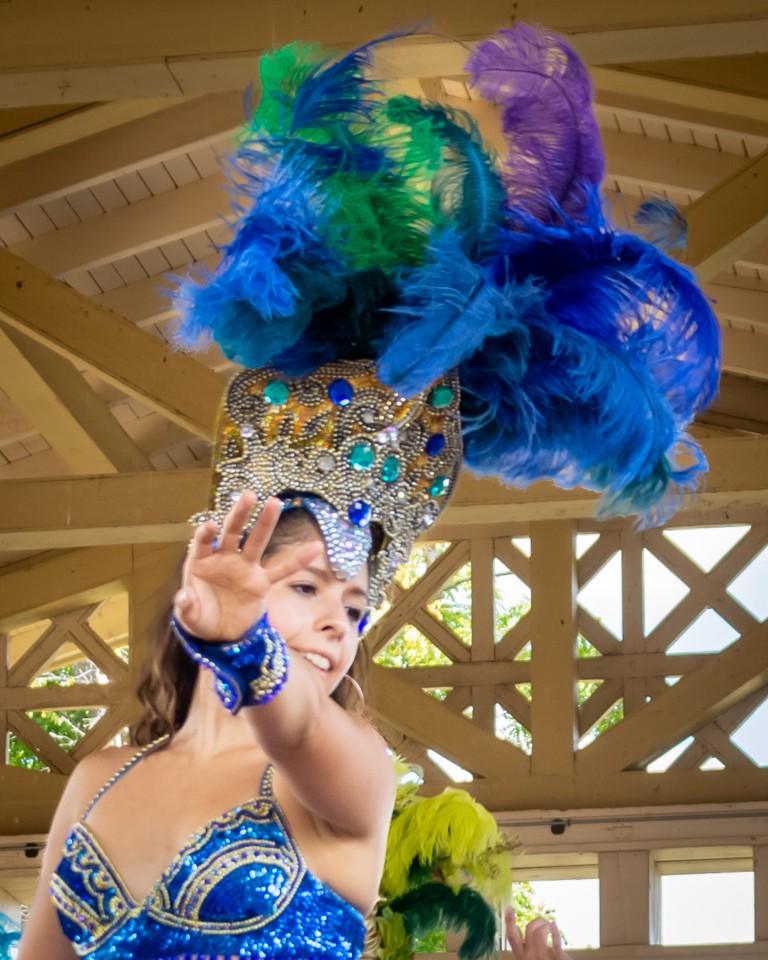 Photos: KC Ethnic Enrichment Festival 2022