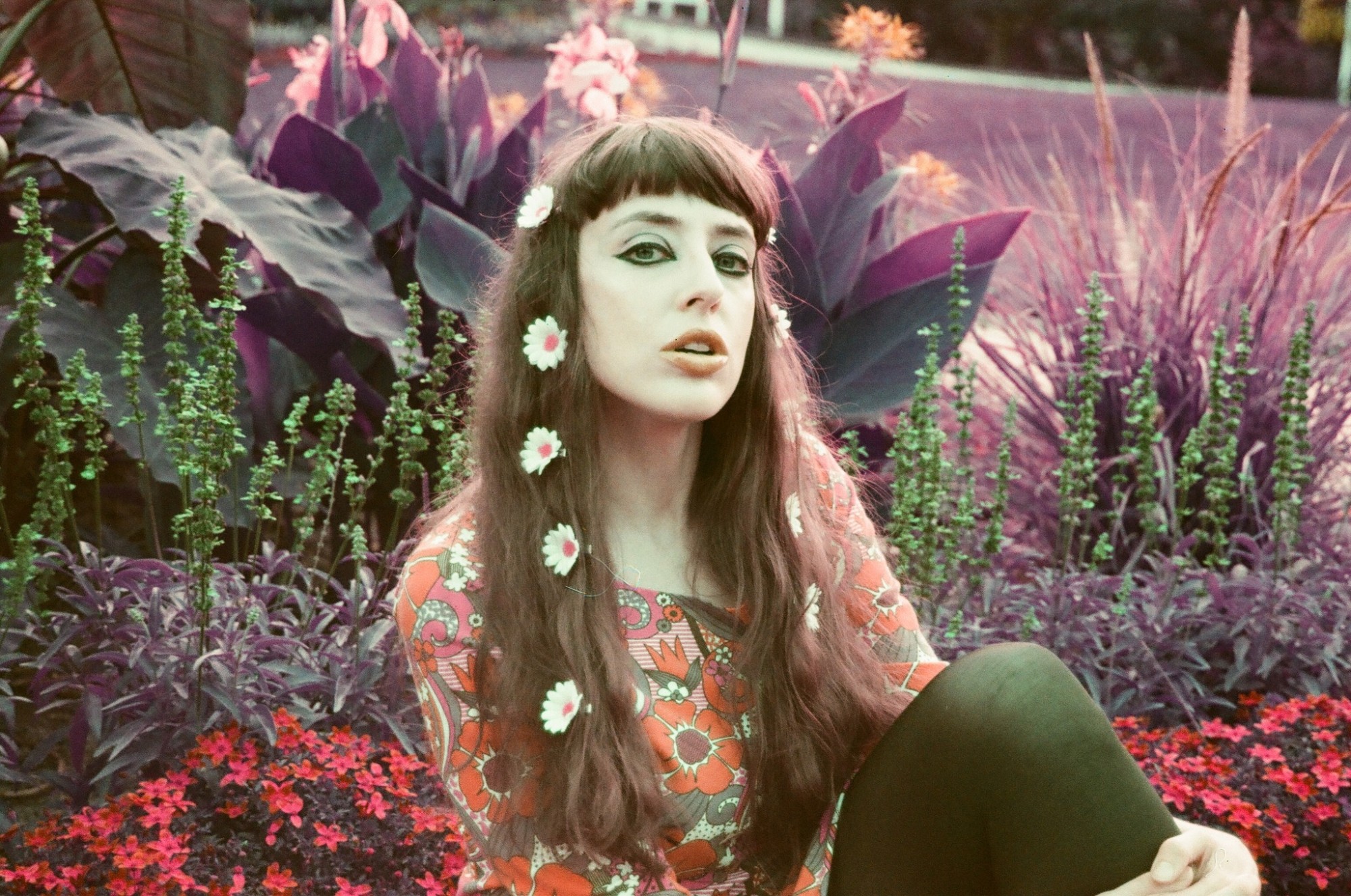 Author Gwendolyn Kiste's Reluctant Immortals brings decay to '60s Los ...
