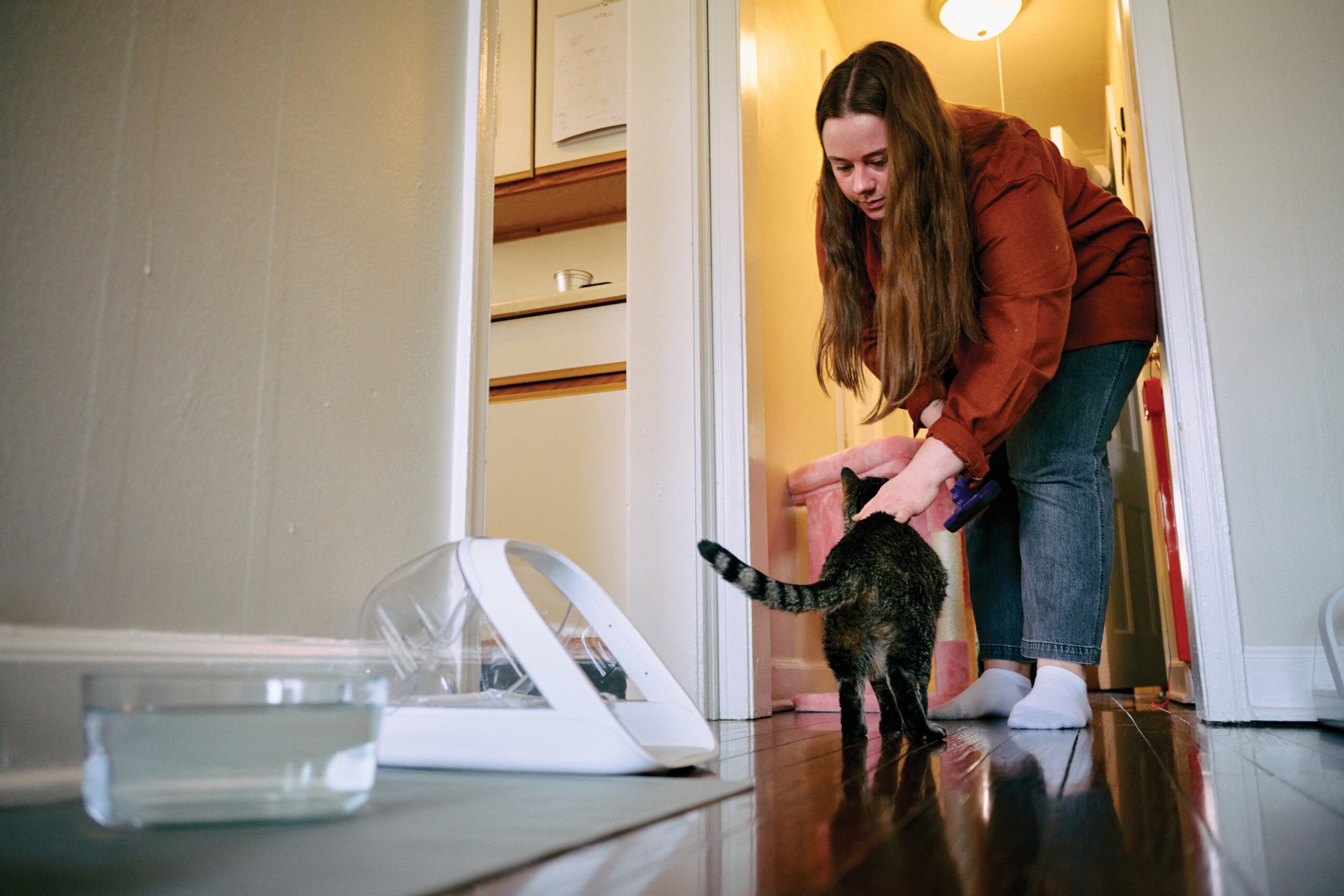 Grieving the Star of the Pot Roast Cinematic Universe: Pot Roast’s Mom ...