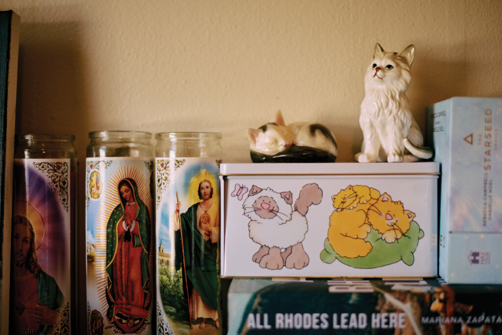 Grieving the Star of the Pot Roast Cinematic Universe: Pot Roast’s Mom ...