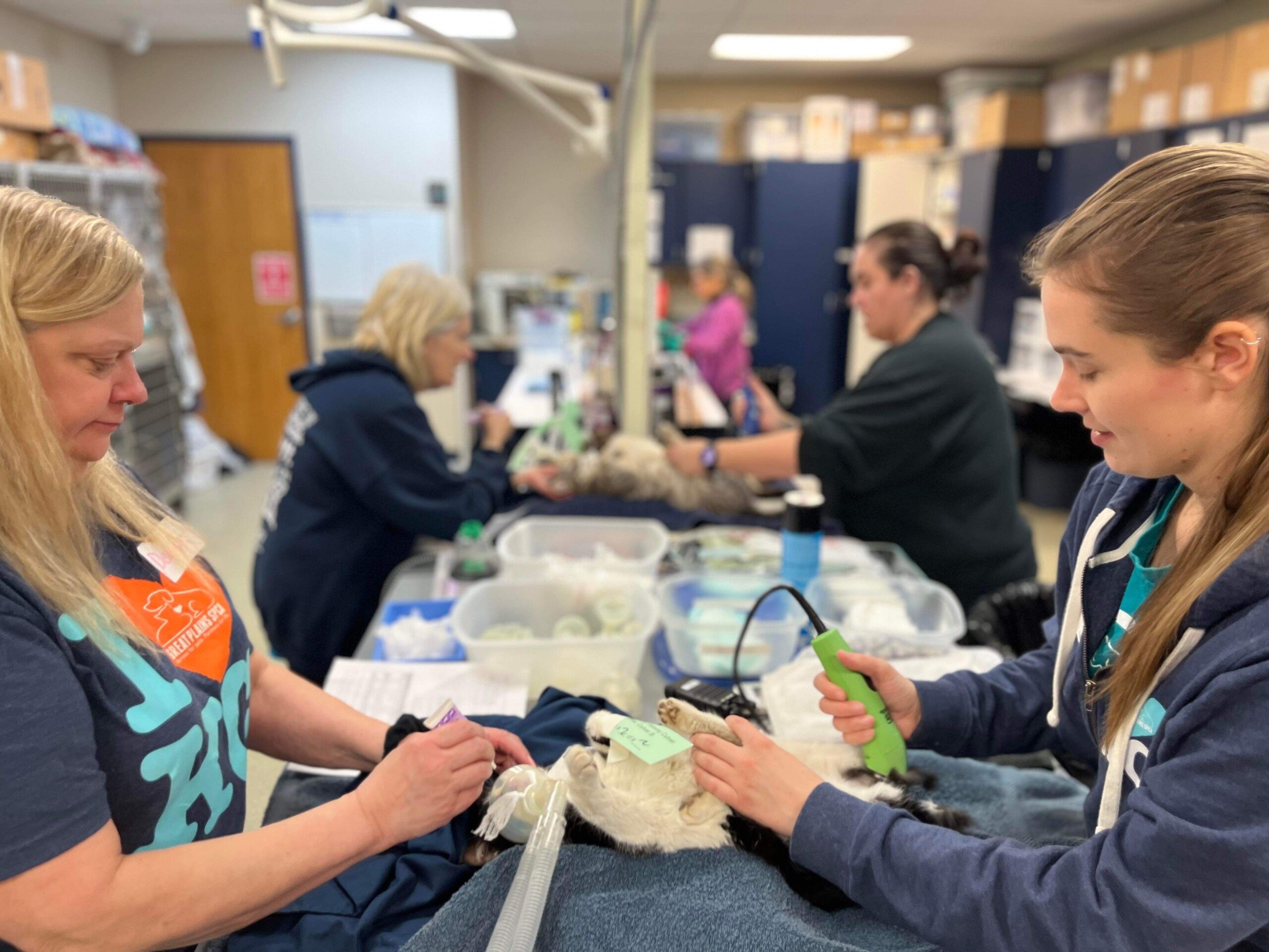 Spay/Neuter Collaborative of KC to host community wide clinic this weekend