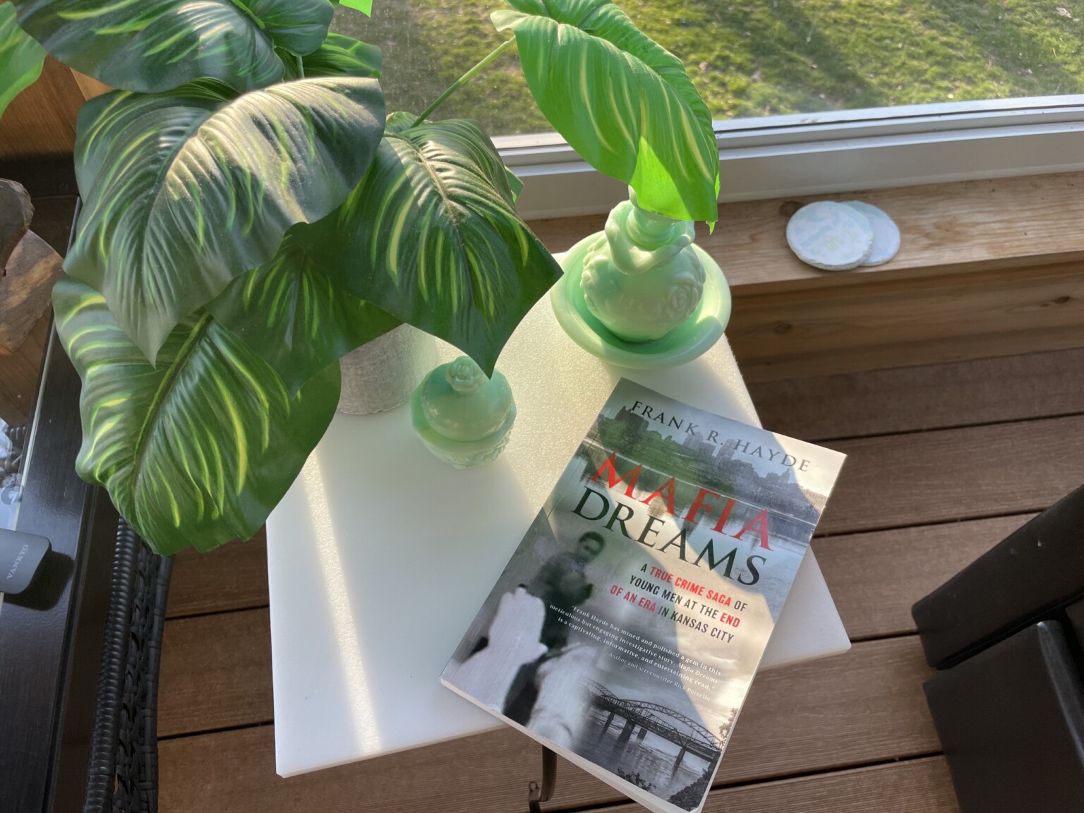 Frank R. Hayde's Mafia Dreams guides readers through a significant ...