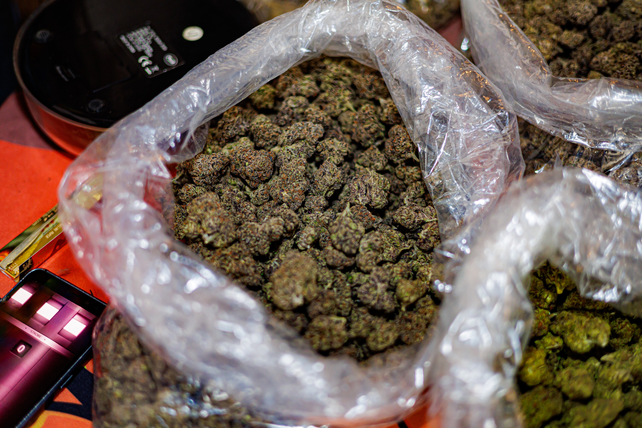 Photos: A weed festival at Wolfpack lights up the night, including ...