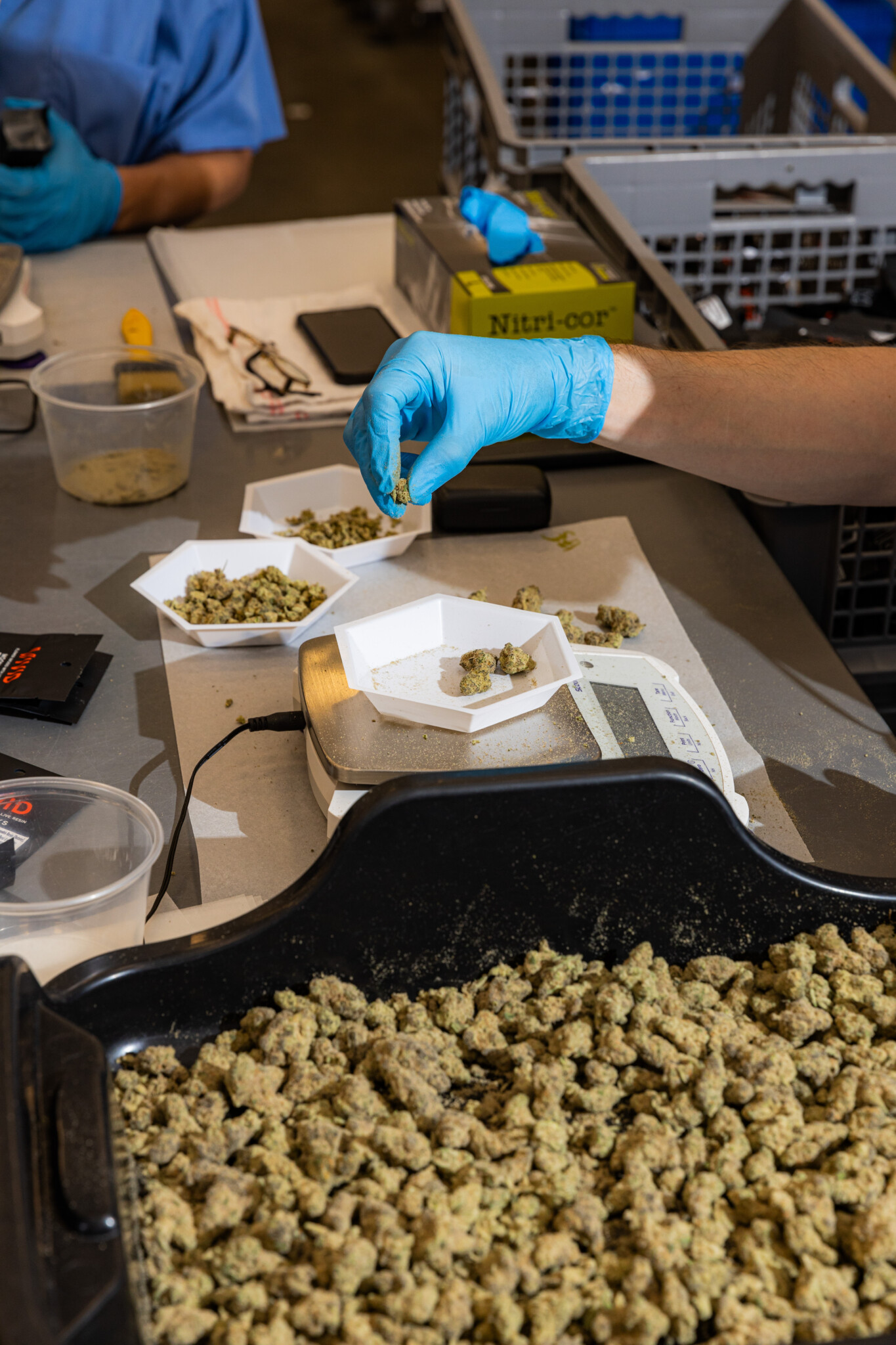 Behind The Bud: Show-Me Organics' team of cannabis connoisseurs are ...