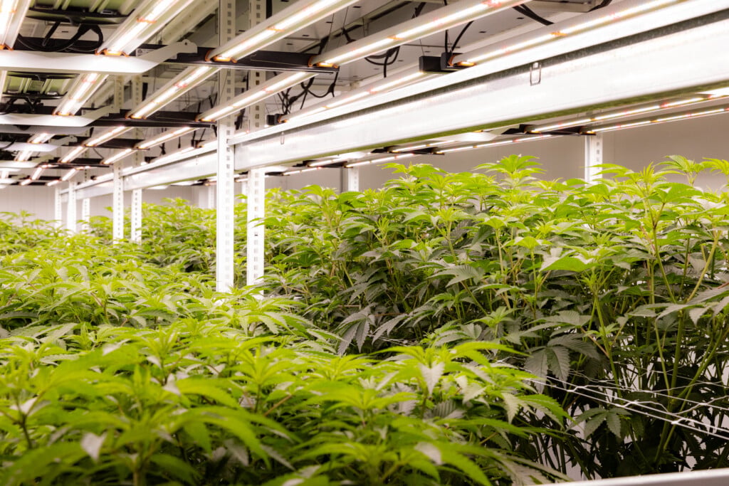 Breaking: Missouri Supreme Court rules to end double-stacking cannabis tax