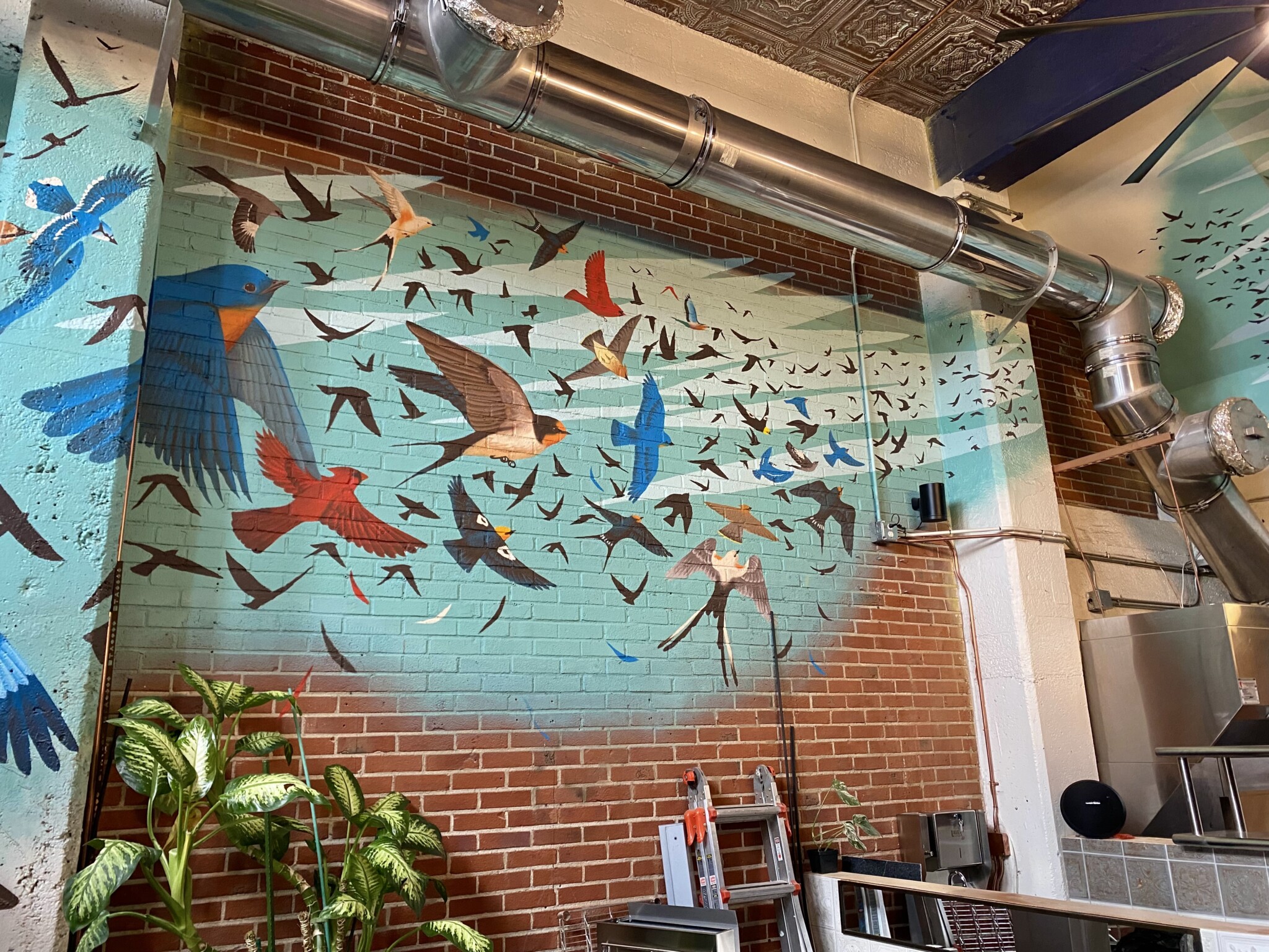 City Market Coffee takes on turnover with upcoming Murmuration Eatery ...