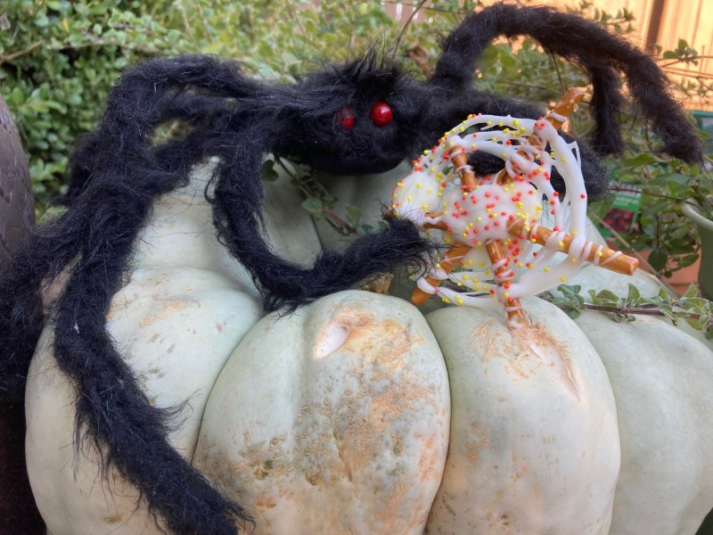 Sweet Spider Treats and Picture Books - TulsaKids Magazine