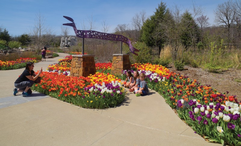 Signs of Spring Photo Contest, sponsored by Tulsa Botanic Garden ...