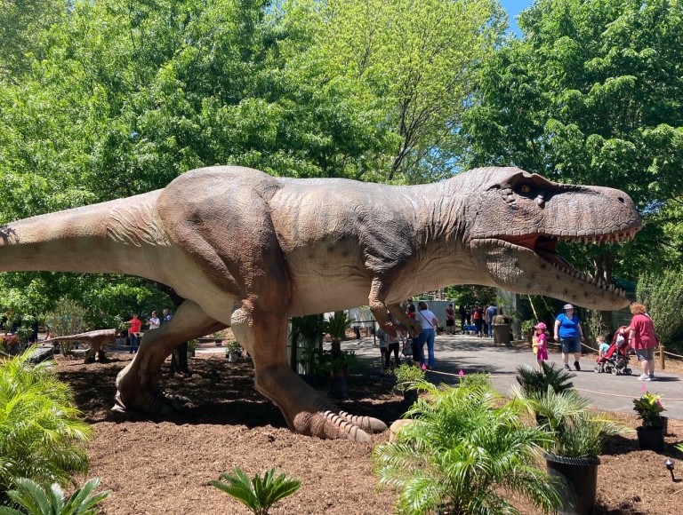 We Visit Zoorassic World at Tulsa Zoo! - TulsaKids Magazine