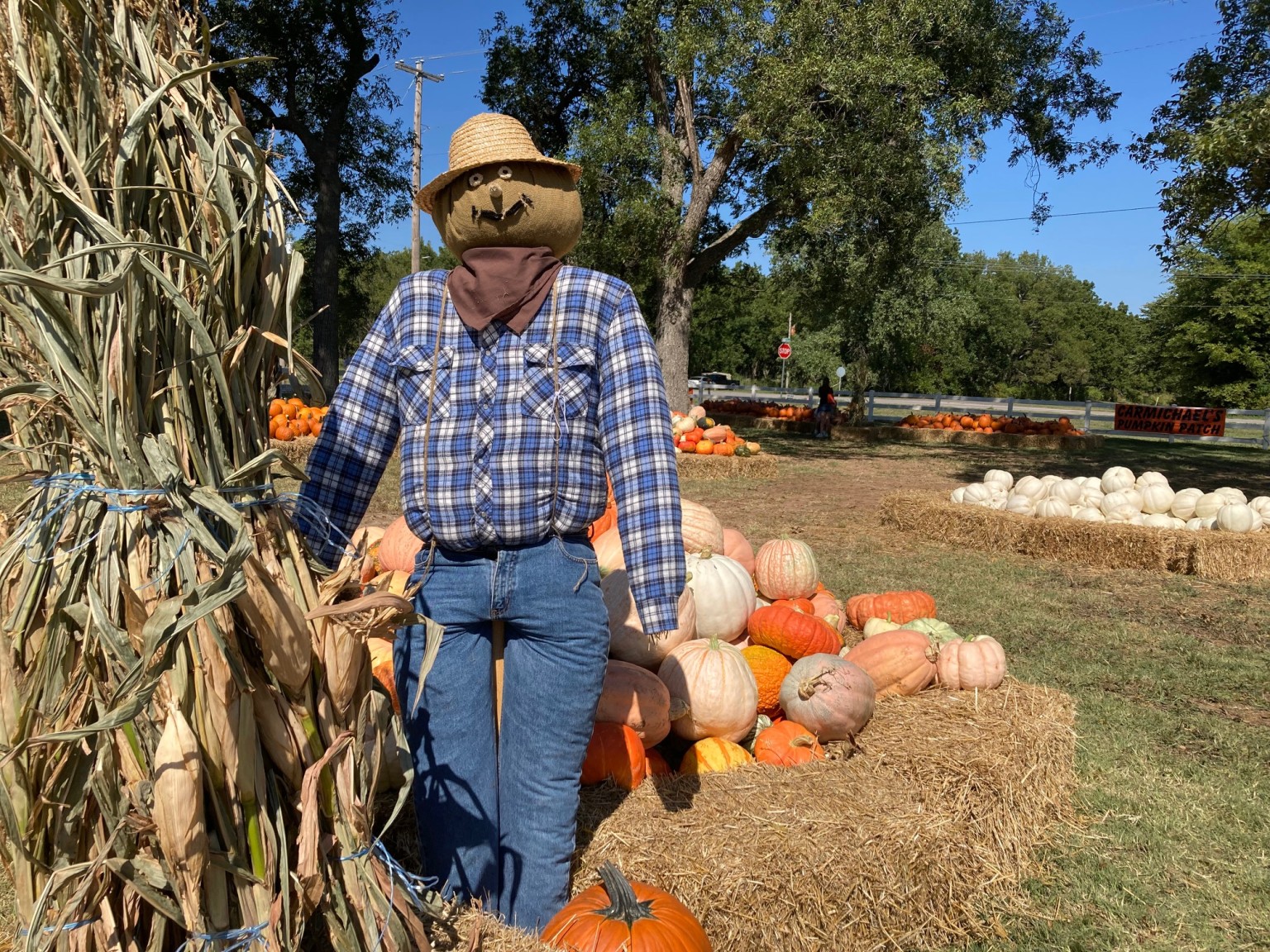 Carmichael's Pumpkin Patch: Our Family's Visit - TulsaKids Magazine