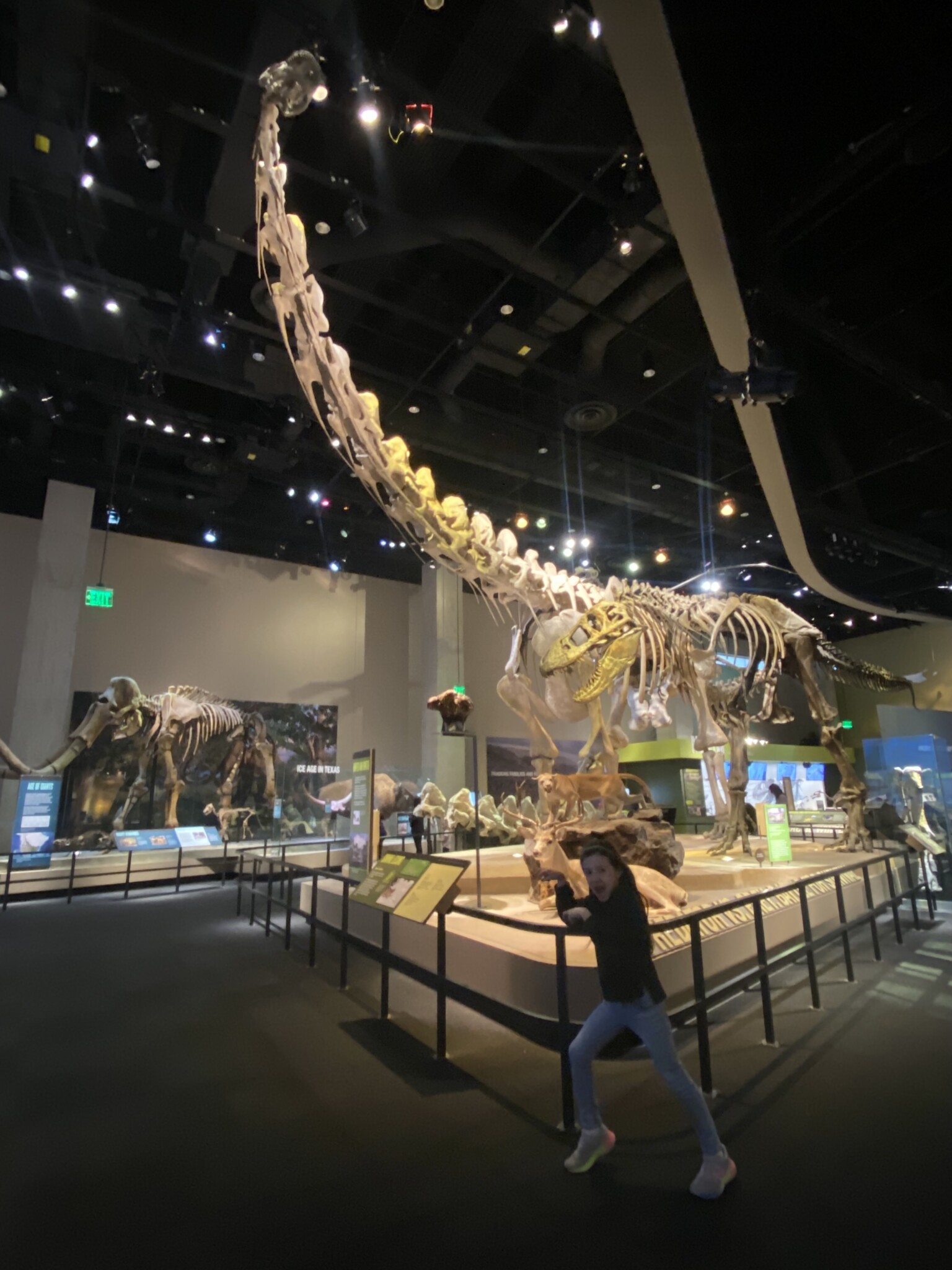 Downtown Dallas Adventure, Part 1 - TulsaKids Magazine