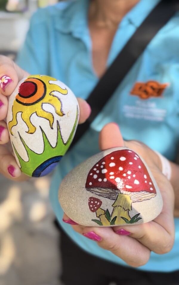 Drop A Rock Day - TulsaKids Magazine