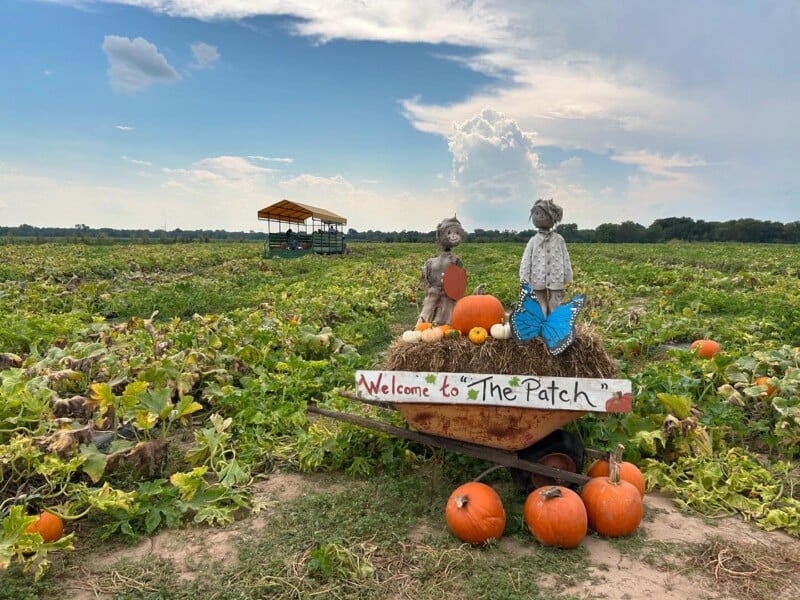 Livesay Orchards: Our First Visit - TulsaKids Magazine