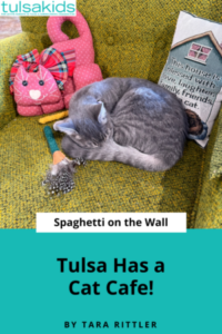 Tulsa Has a Cat Cafe! - TulsaKids Magazine