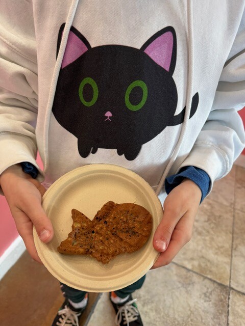 Tulsa Has a Cat Cafe! - TulsaKids Magazine