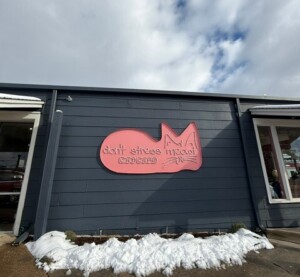 Tulsa Has a Cat Cafe! - TulsaKids Magazine