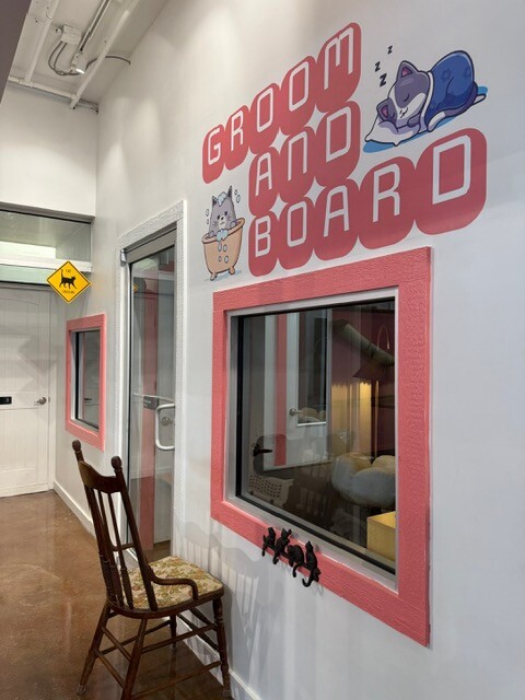 Tulsa Has a Cat Cafe! - TulsaKids Magazine