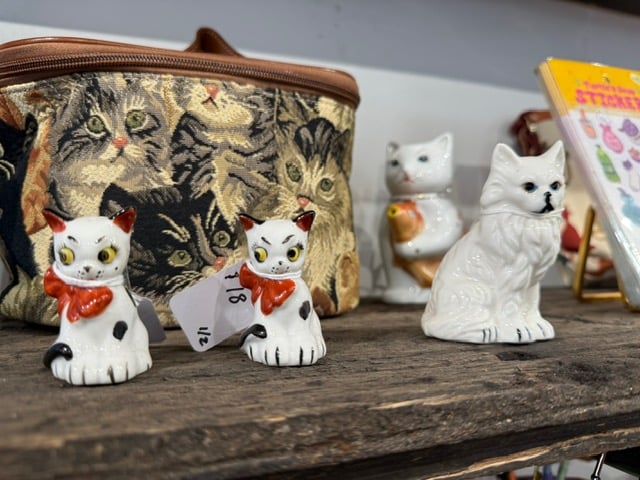 Tulsa Has a Cat Cafe! - TulsaKids Magazine