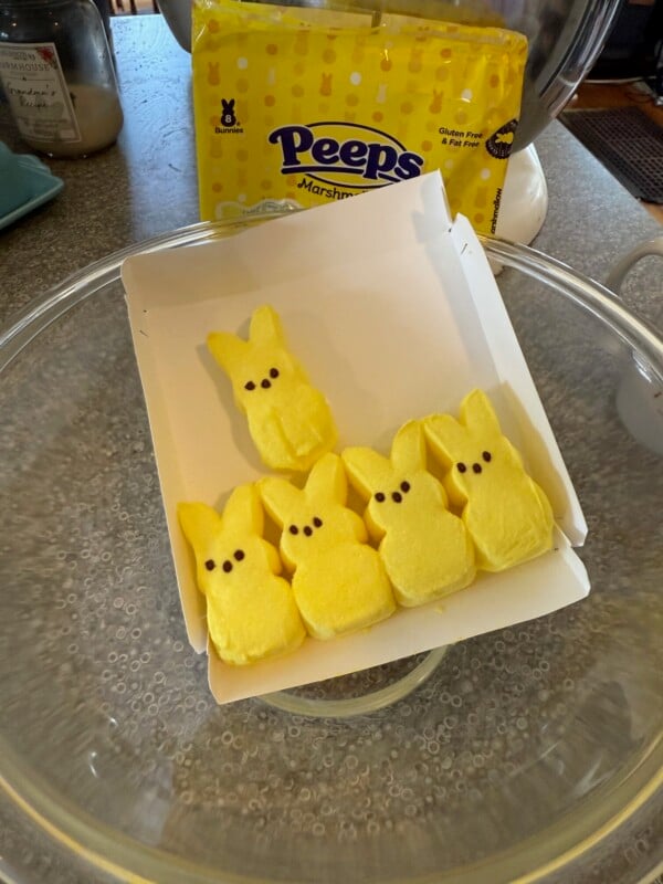 Fun Activities to do With Peeps - TulsaKids Magazine