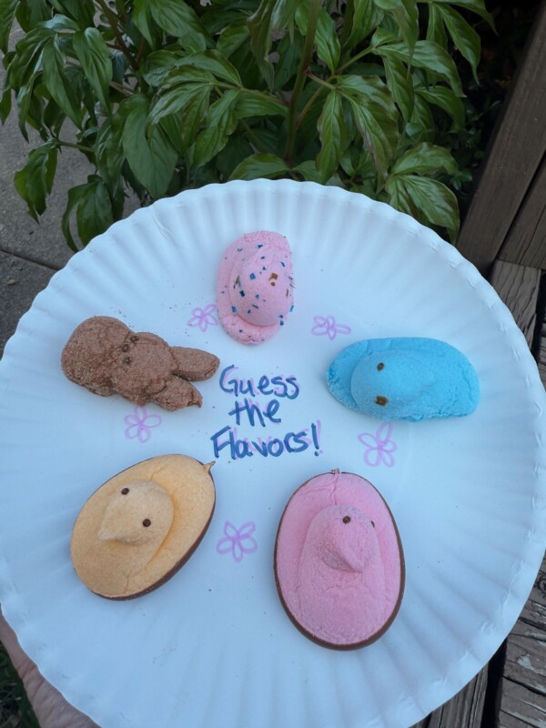 Fun Activities to do With Peeps - TulsaKids Magazine