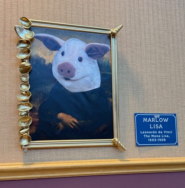 What's Next for the Owasso Library? - TulsaKids Magazine