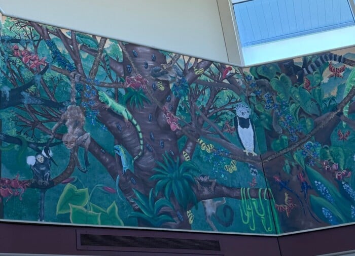 What's Next for the Owasso Library? - TulsaKids Magazine