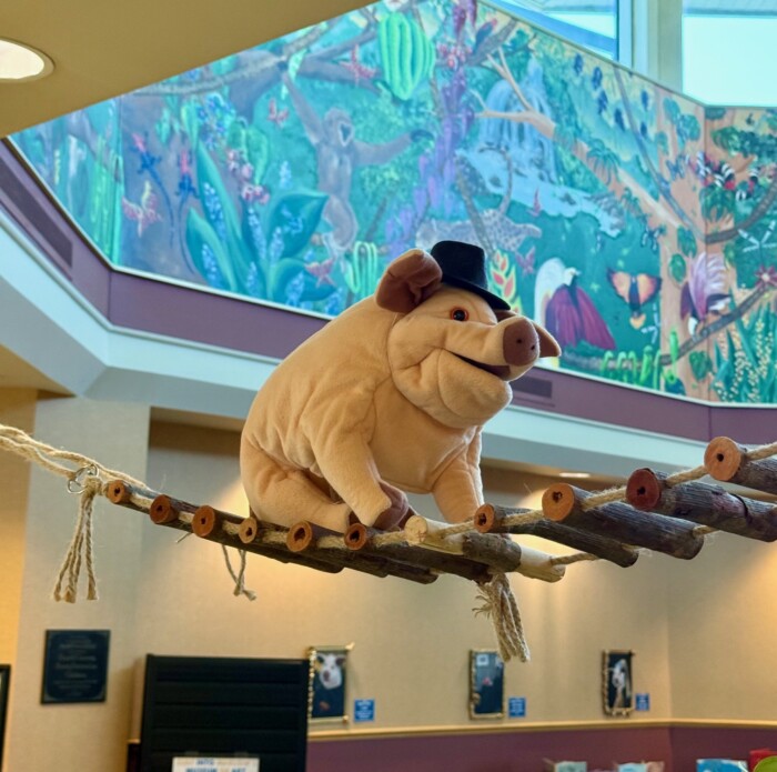 What's Next for the Owasso Library? - TulsaKids Magazine