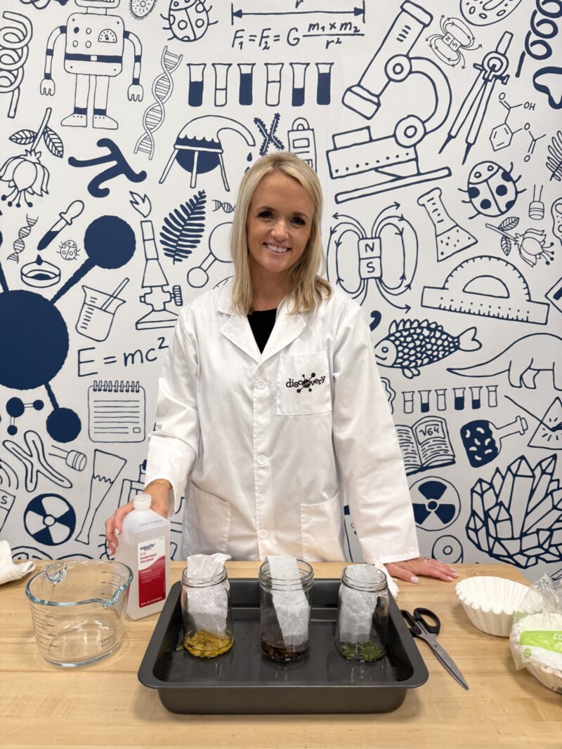 Leaf Chromatography: Hidden Colors in Leaves - TulsaKids Magazine