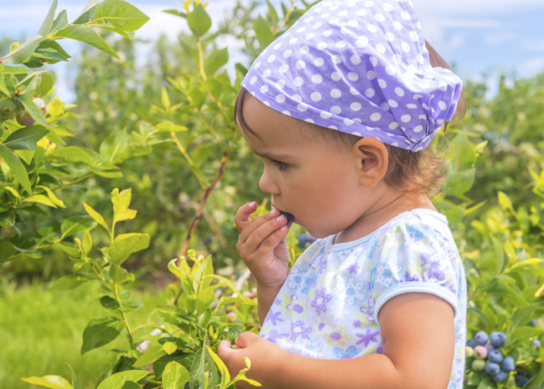 Summer Fun in Tulsa - TulsaKids Magazine