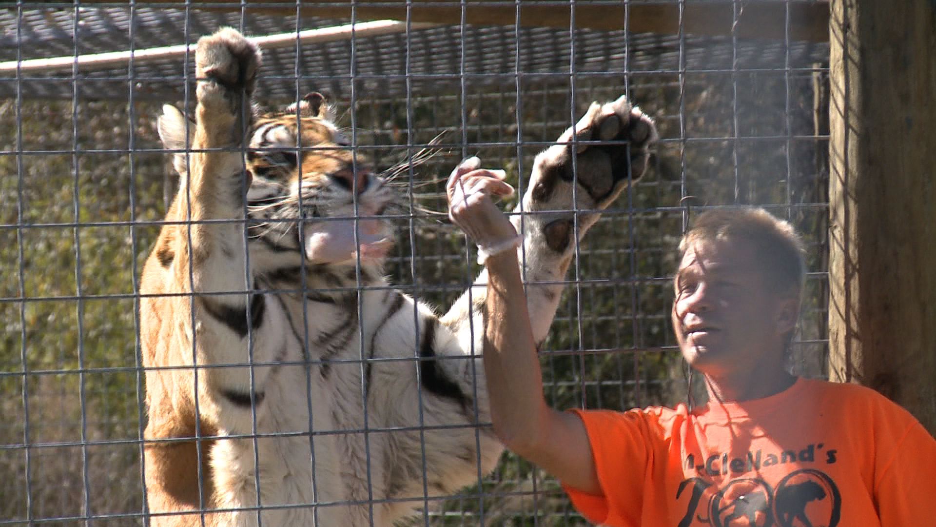 McClelland's Critters Owner Speaks After Complaint from PETA - WAKA 8