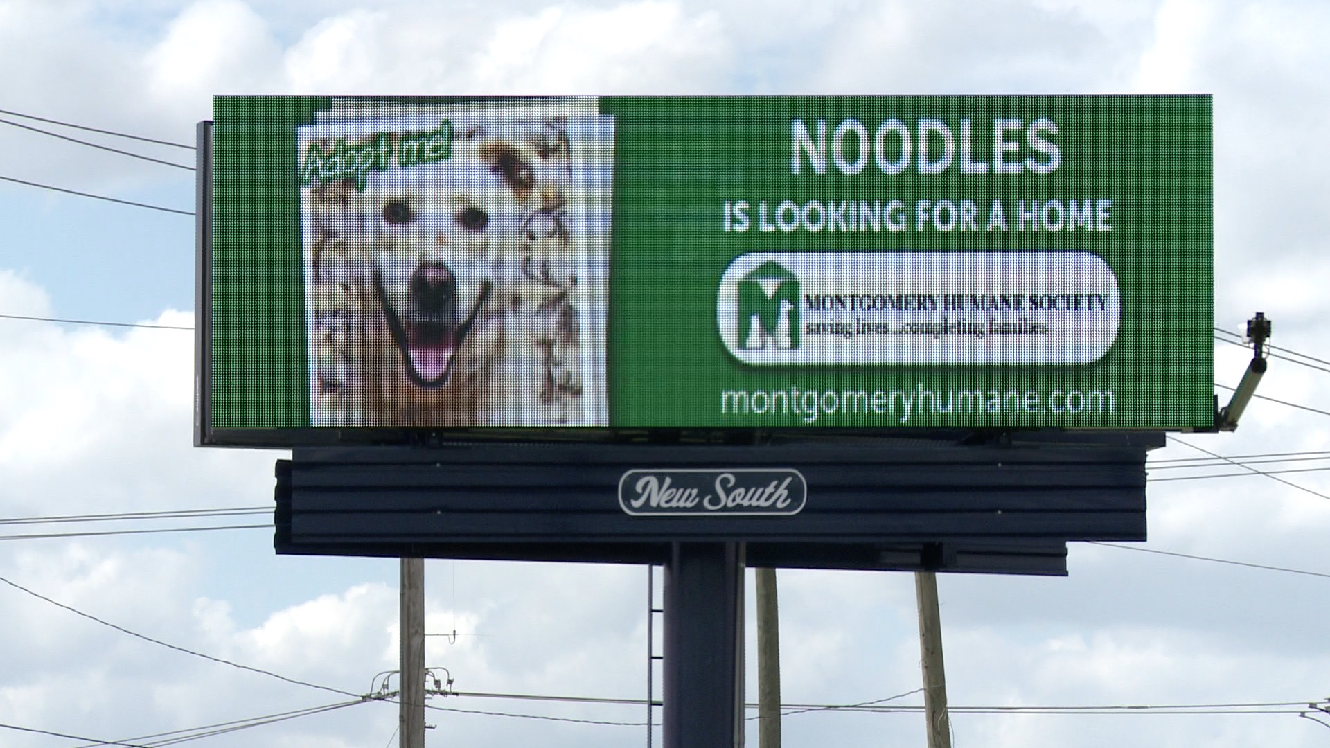 New Billboards are Helping Pets Get Adopted - WAKA 8