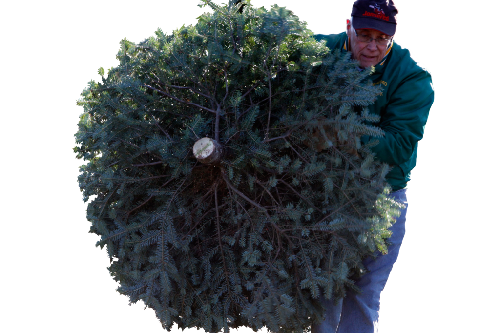 Check Out Your Christmas Tree Disposal Options - WAKA 8 Check Out Your Christmas Tree Disposal Options - WAKA 8