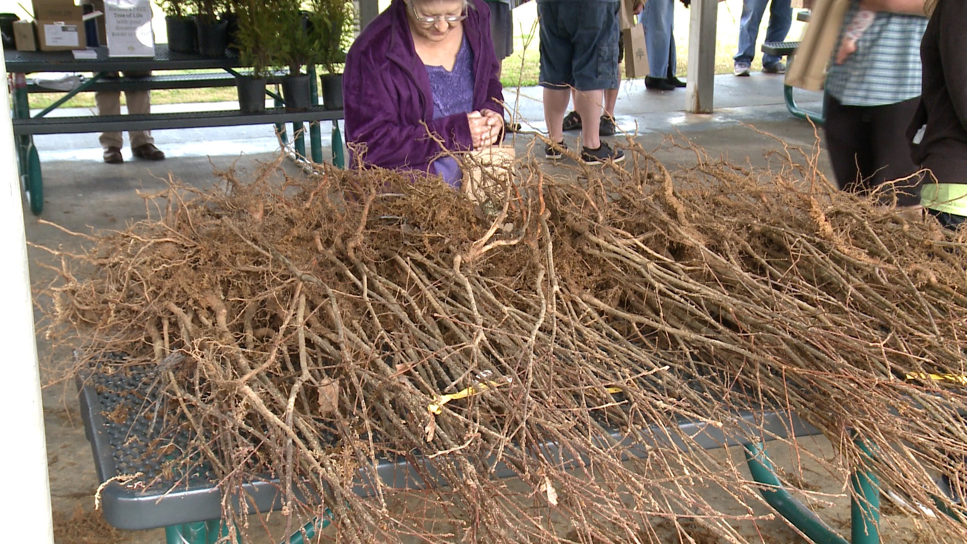 Montgomery Residents Take Advantage of Free Tree Giveaway - WAKA 8