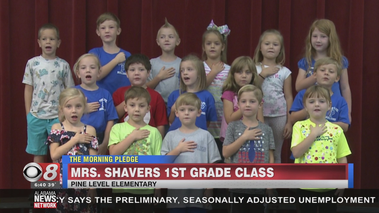 Morning Pledge: Pine Level Elementary School-Mrs. Shaver's Class - WAKA 8