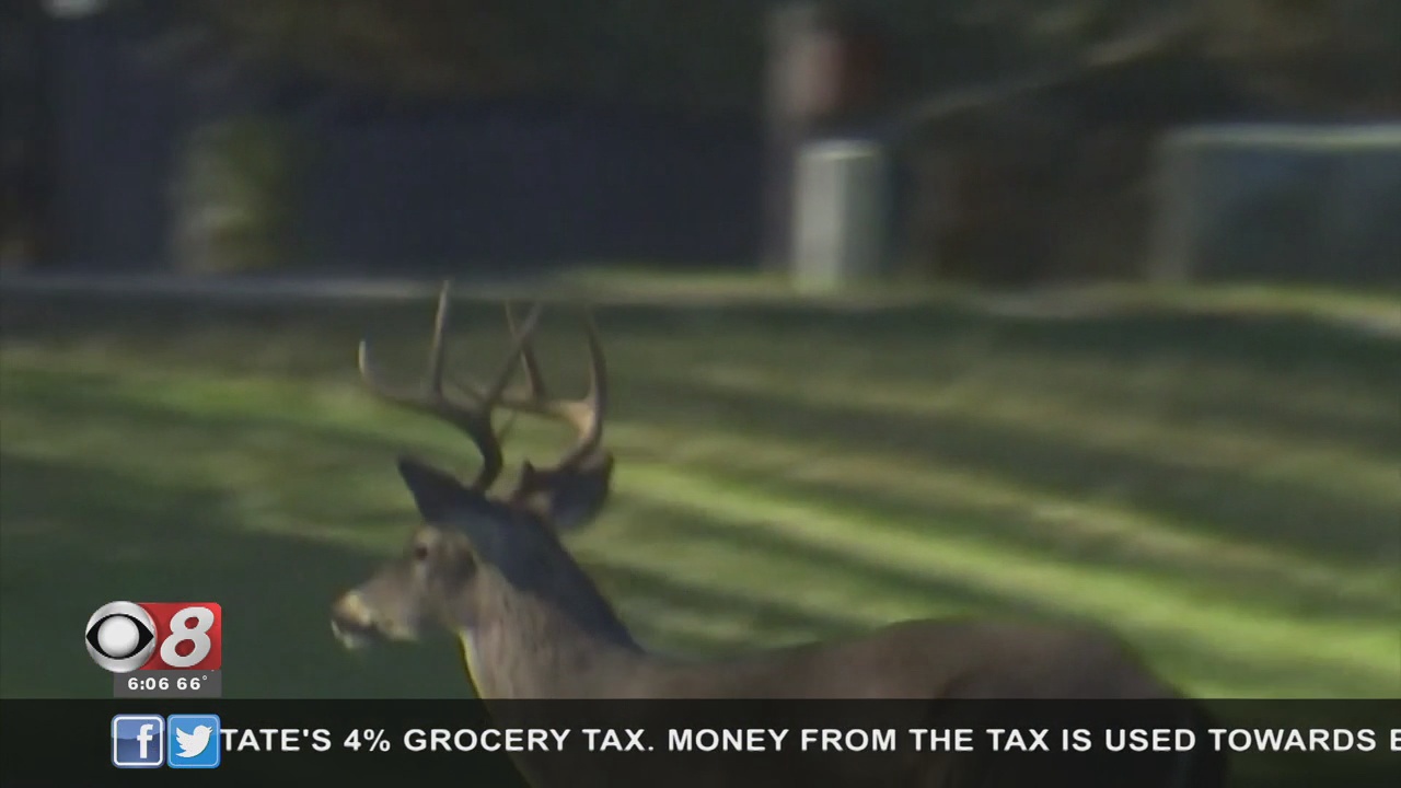 More CWD Cases Confirmed in Neighboring States - WAKA 8