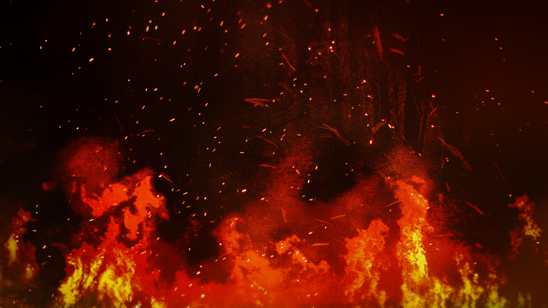Forestry Commission: 24 Wildfires Burning in Alabama - WAKA 8