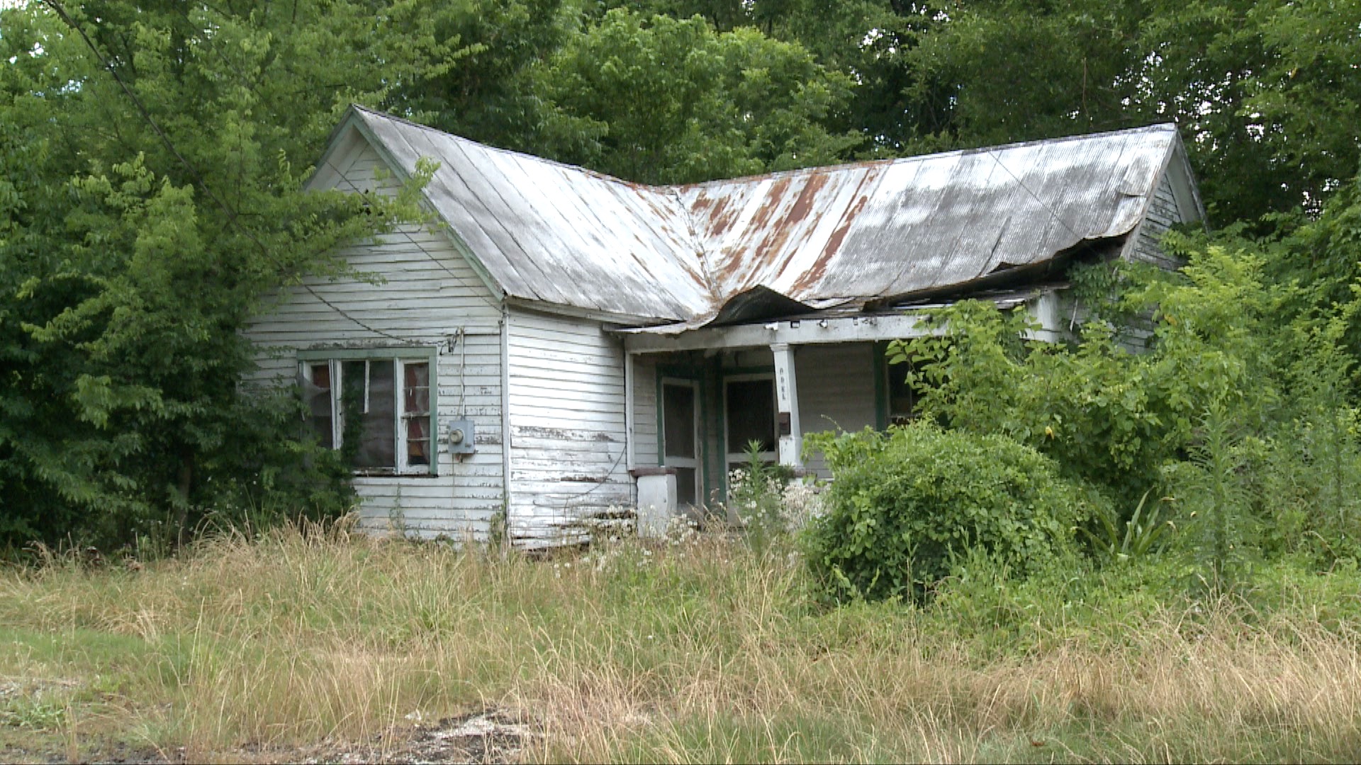 City of Selma Cracking Down on Overgrown Lots and Run Down Buildings ...