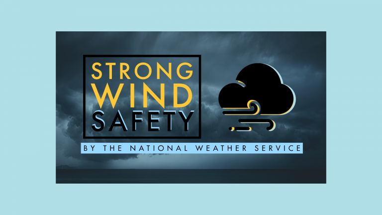 Safe From the Storm - WAKA 8