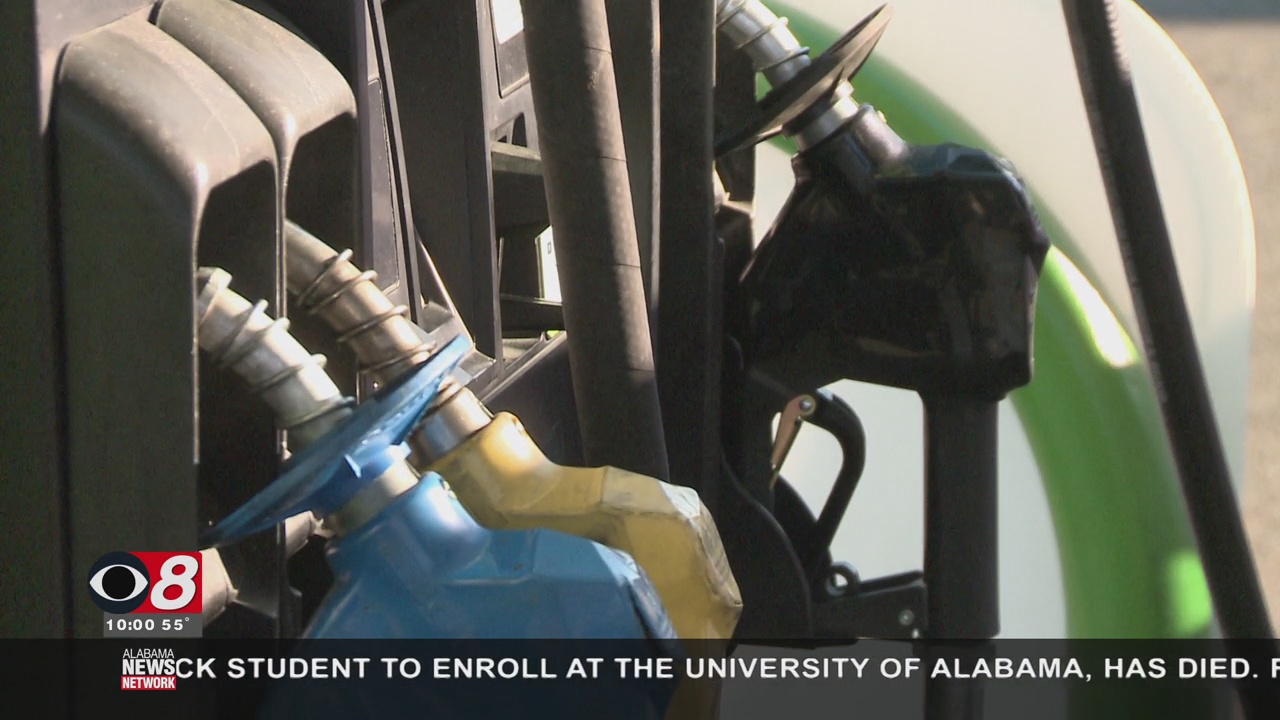 Gas Prices Are On The Rise Again, Experts Say There Is No Need To Panic ...