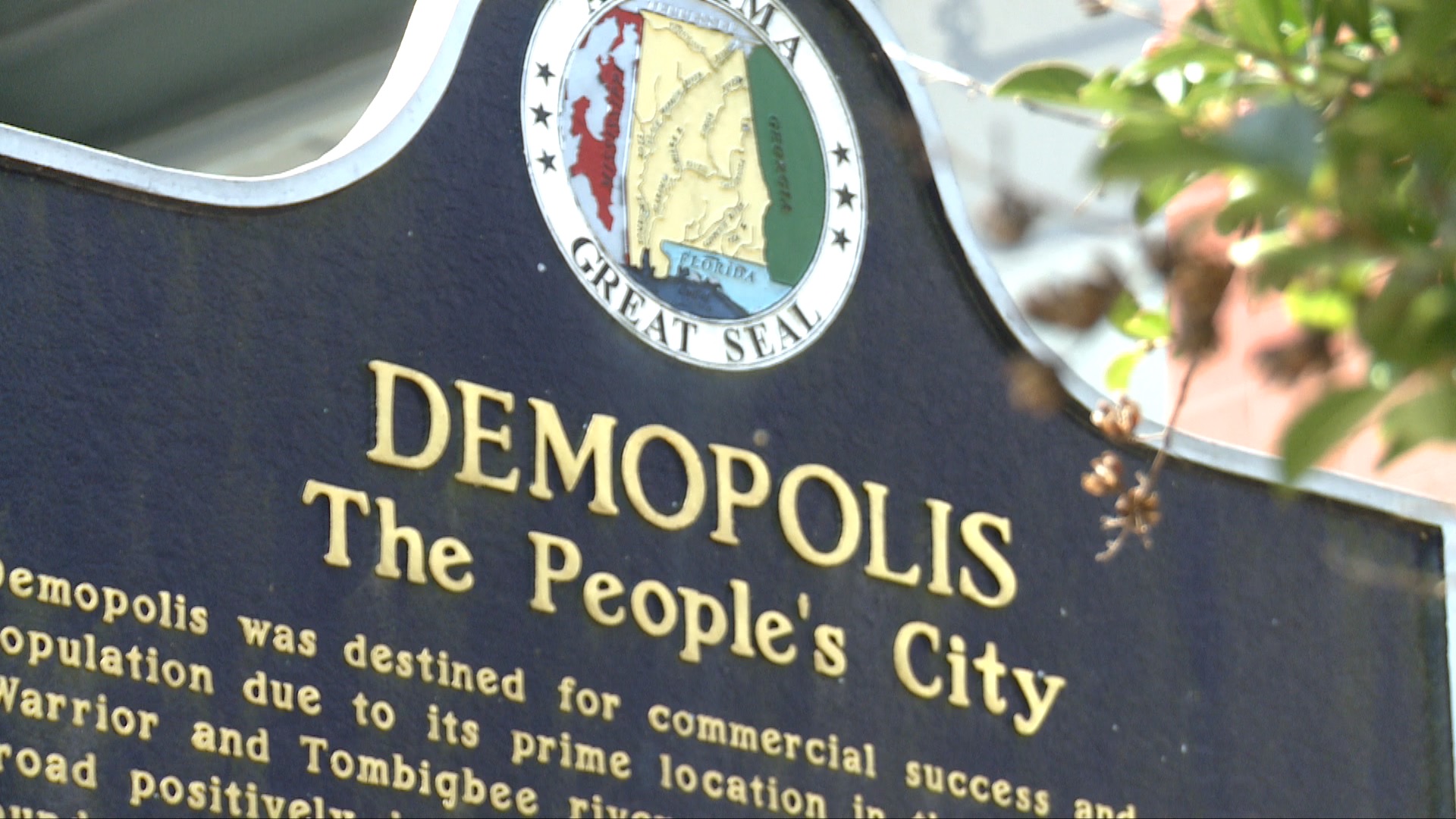 Demopolis Aims to Revitalize Downtown Area - WAKA 8