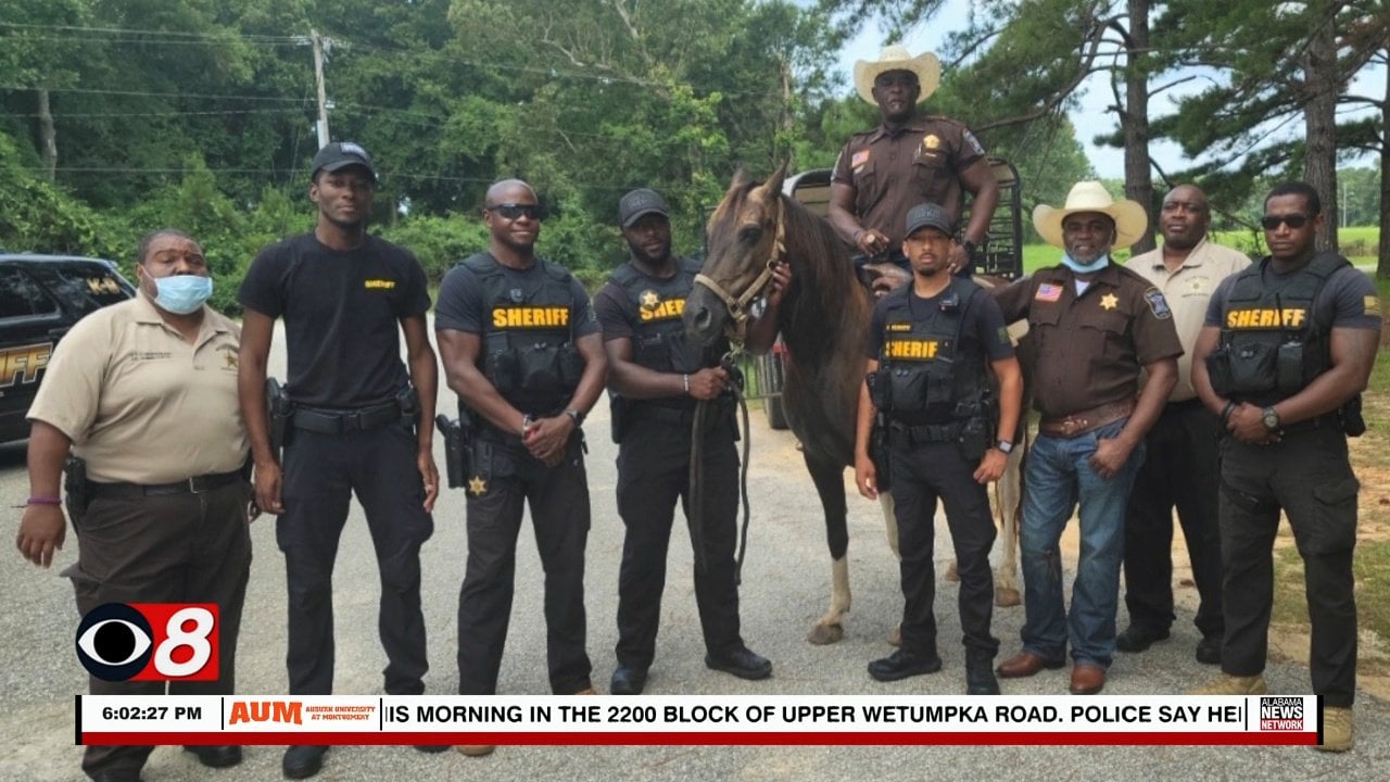 Macon County Sheriff's Office Adds Mounted Unit - WAKA 8