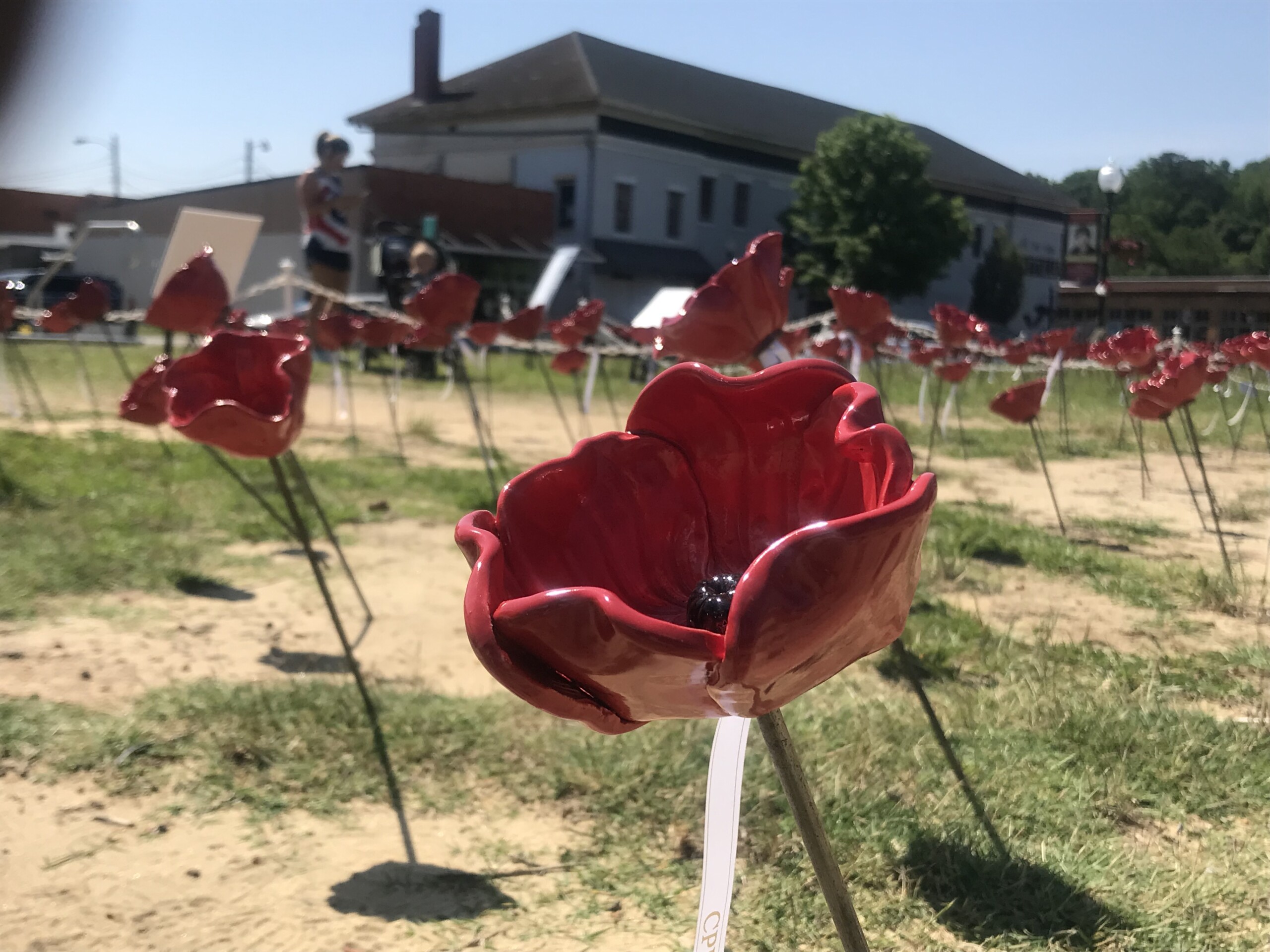 Memorial Day Remembered with Alabama Poppy Project - WAKA 8